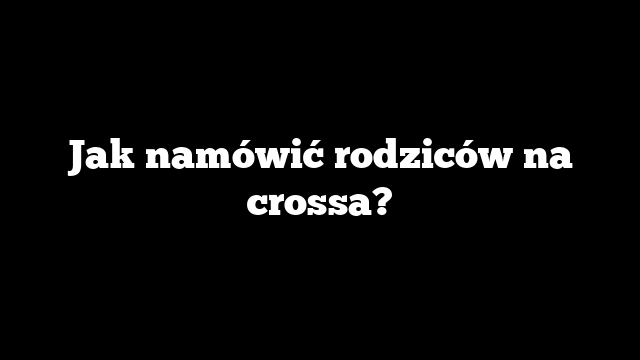 Jak namówić rodziców na crossa? – Mój Domowy Świat