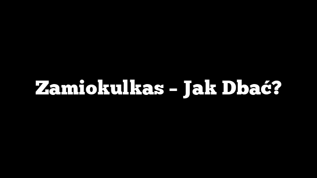 Zamiokulkas – Jak Dbać? – Mój Domowy Świat